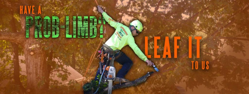 Tree Care - Arbormax Tree Service