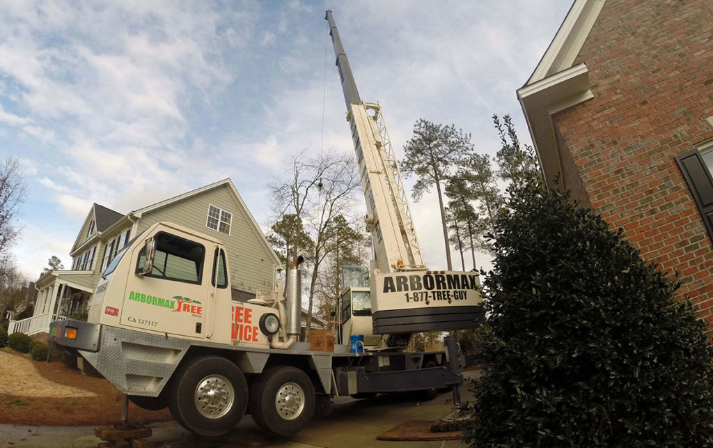 Contact Us - Arbormax Tree Service